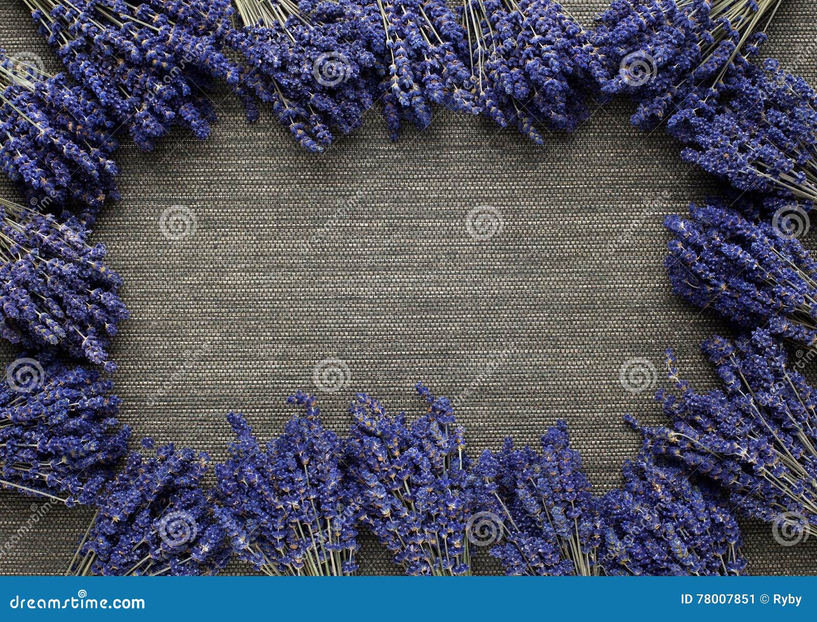 Lavender frame stock image. Image of gift, frame, purple - 78007851