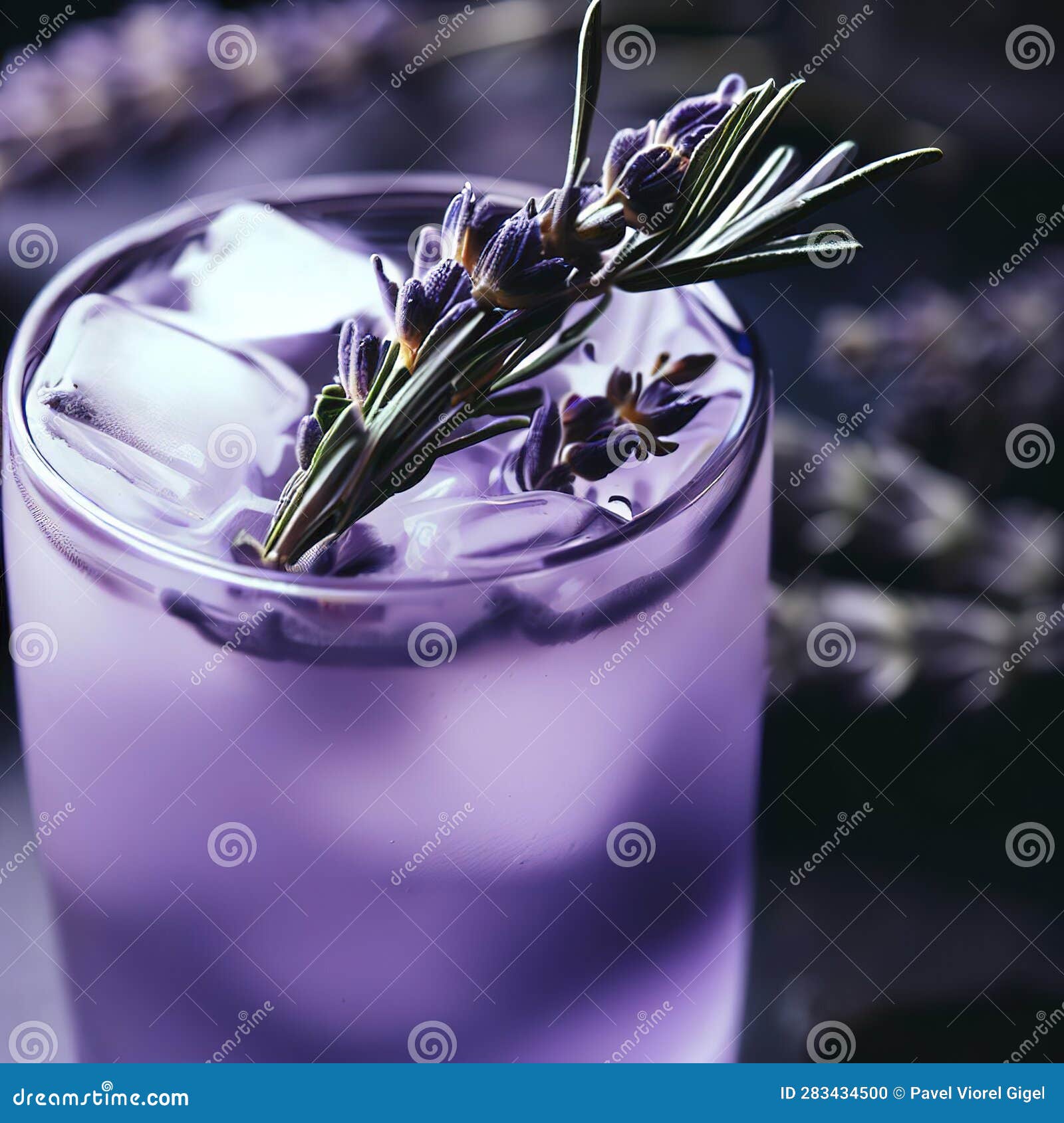 Lavender Garnish Cocktail Idea Stock Illustration - Illustration of ...