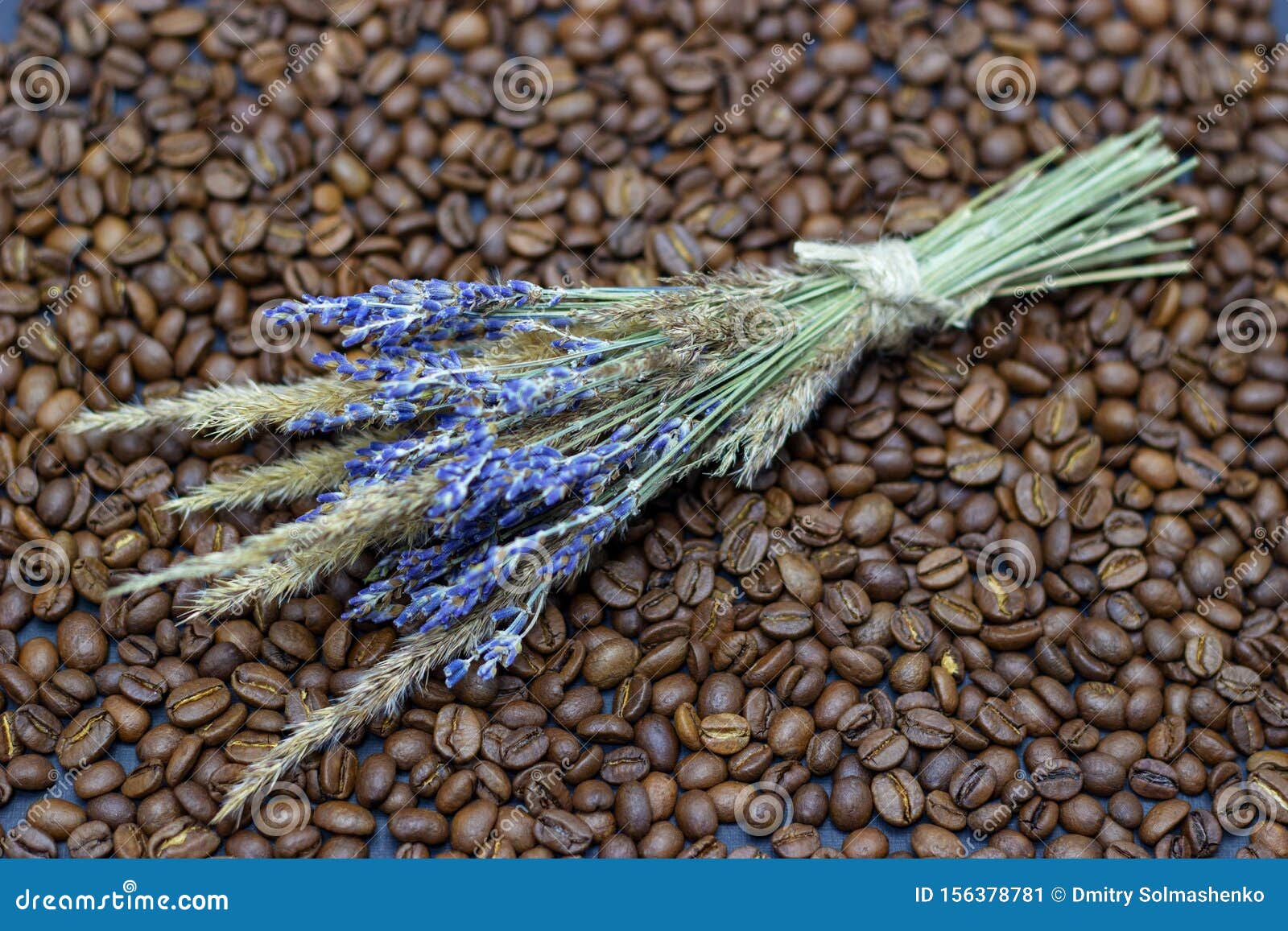 Lavender Grains and Coffee Beans Place for Text Background Stock Image ...