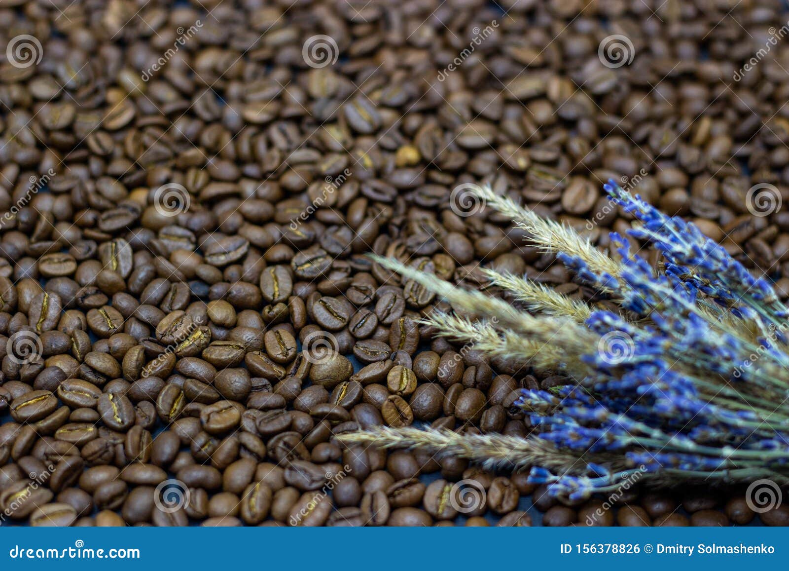 Lavender Grains and Coffee Beans Place for Text Background Stock Photo ...