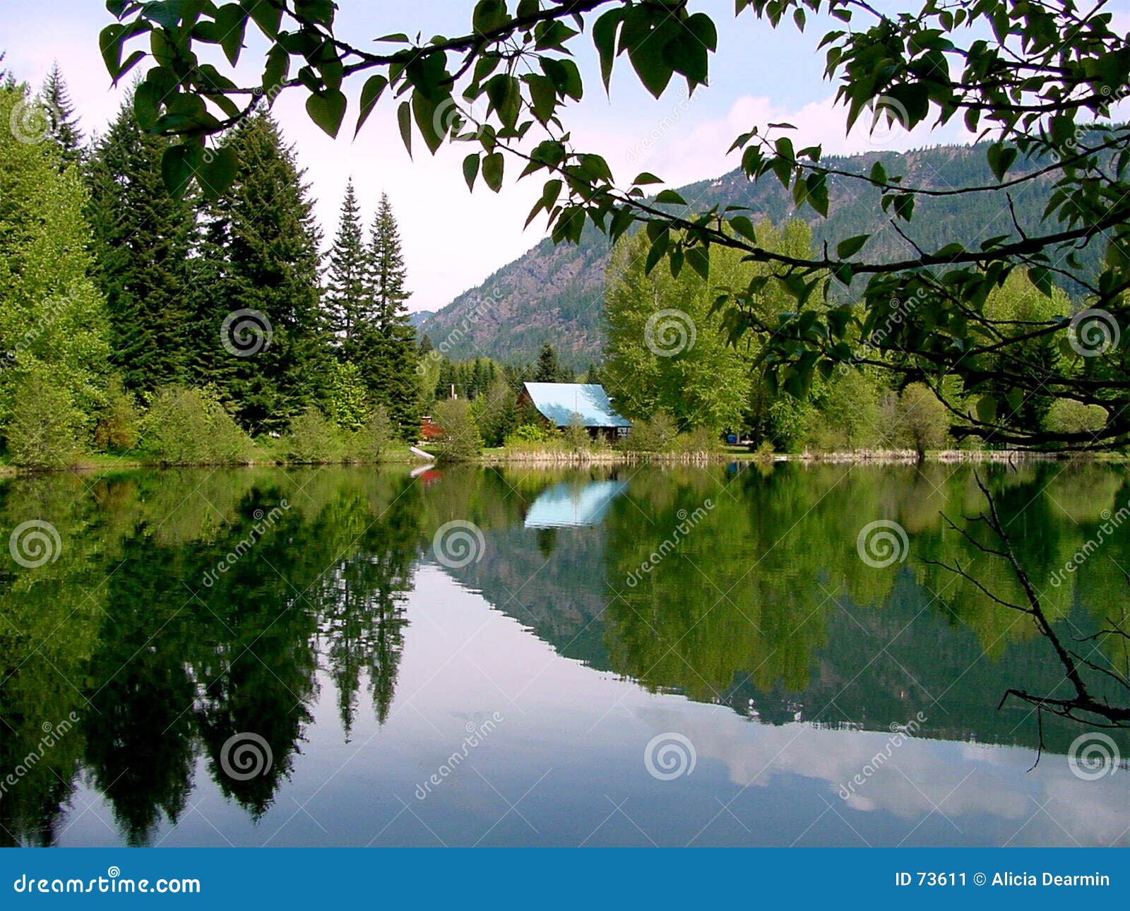 Lavender Lake Reflection stock image. Image of reflect, reflection - 73611