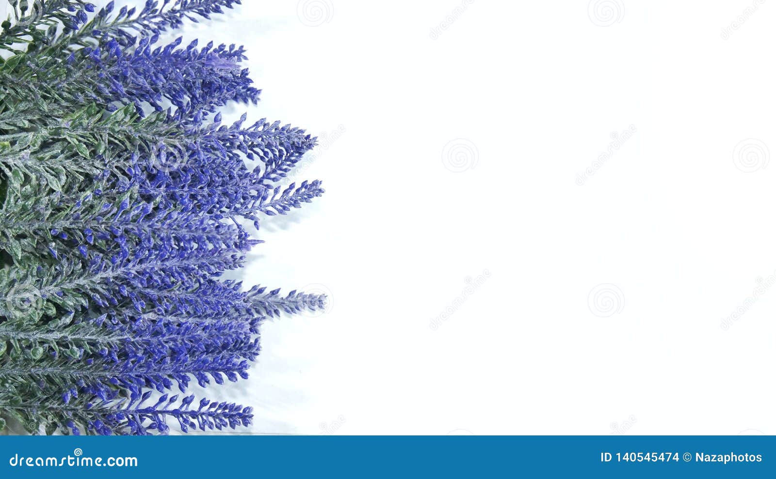 Lavender stock photo. Image of aroma, beauty, bloom - 140545474