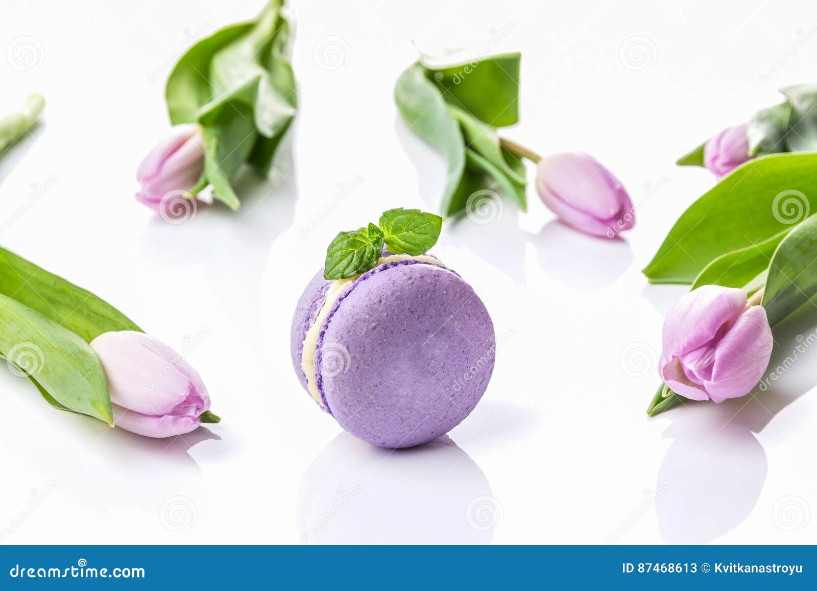 1,081 Mint Tulips Stock Photos - Free & Royalty-Free Stock Photos from ...