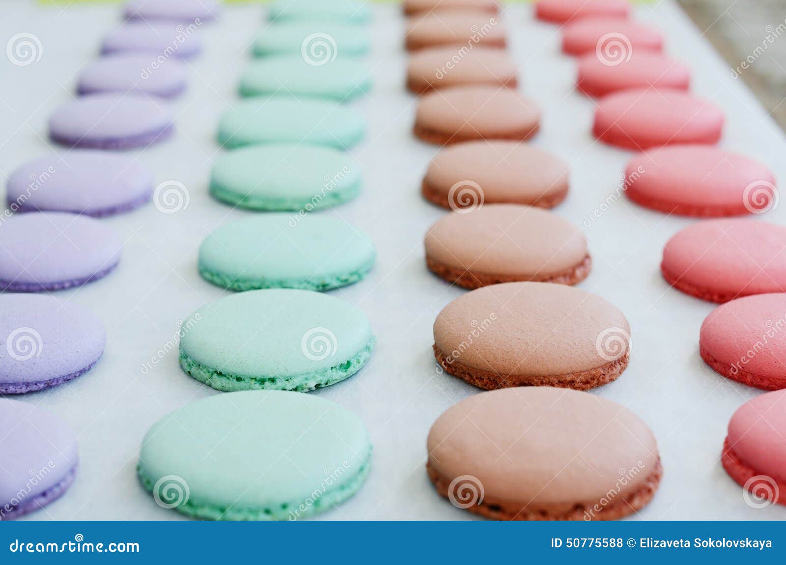 Lavender, Mint, Caramel and Pink Macaroon Cups Over Baking Paper Stock ...