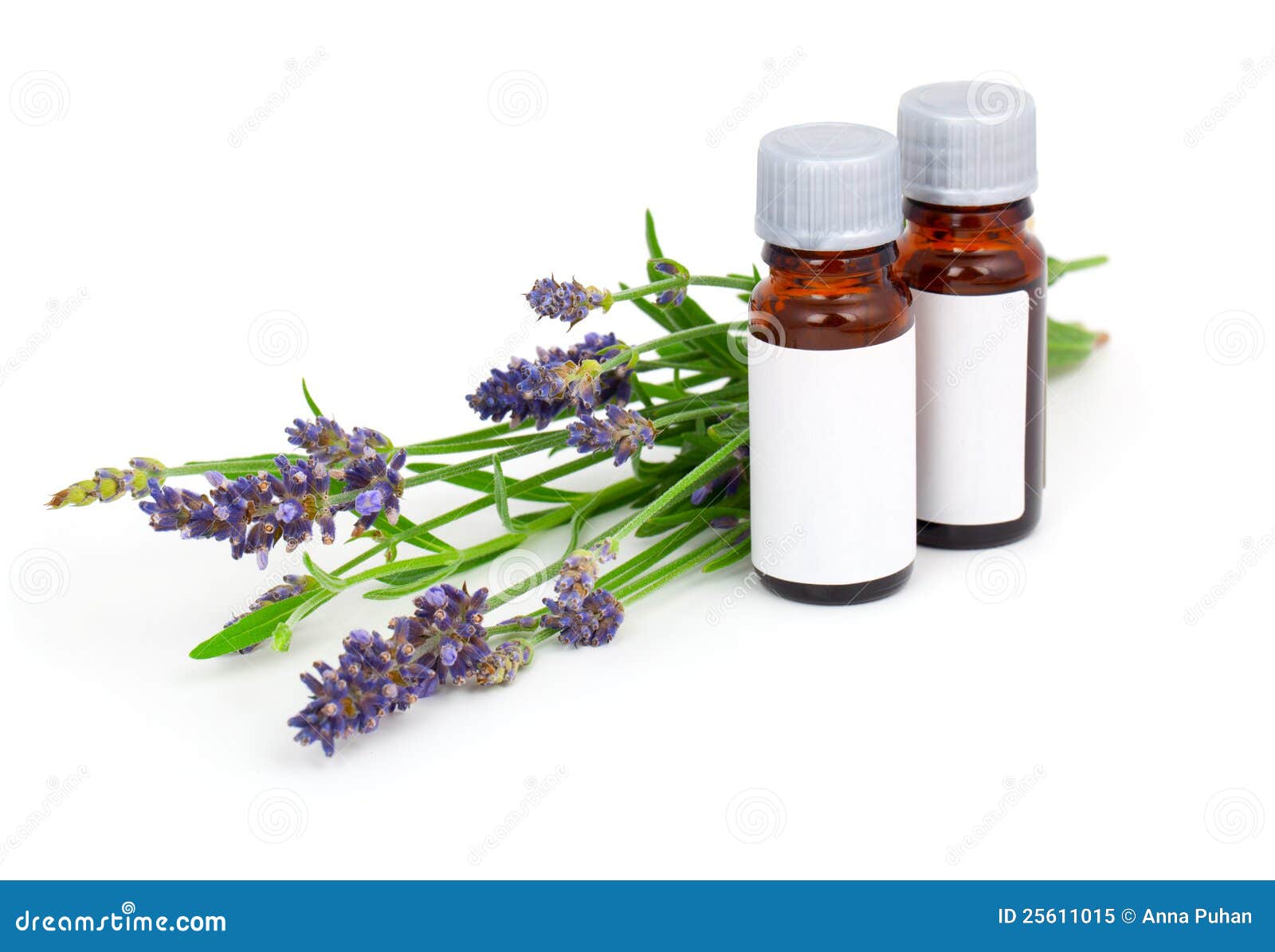Lavender Oil and Lavender Flower Stock Image - Image of holistic ...