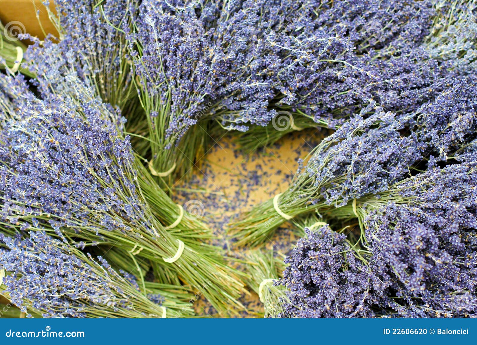 Lavender pile stock photo. Image of flower, lilac, purple - 22606620