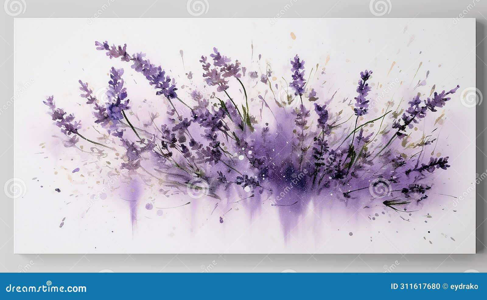 Lavender Plants and Watercolor Splash on a White Background Stock Photo ...