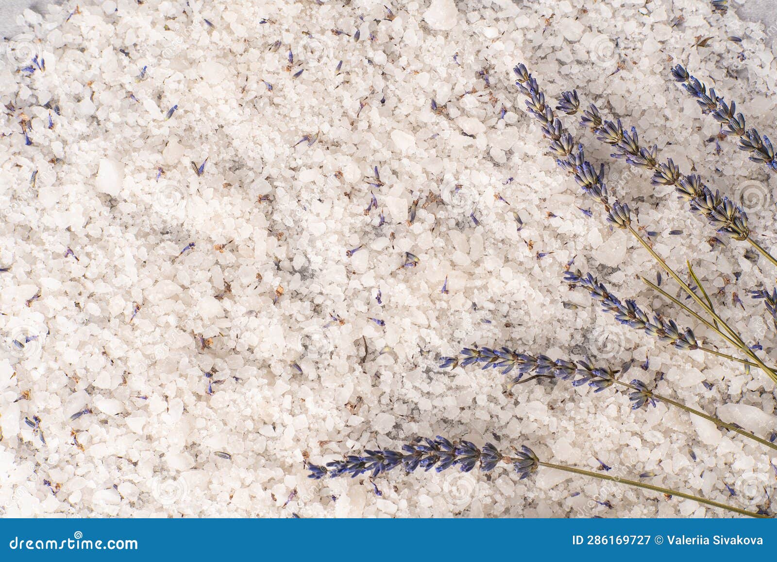 Lavender Salt for cooking stock image. Image of therapy - 286169727