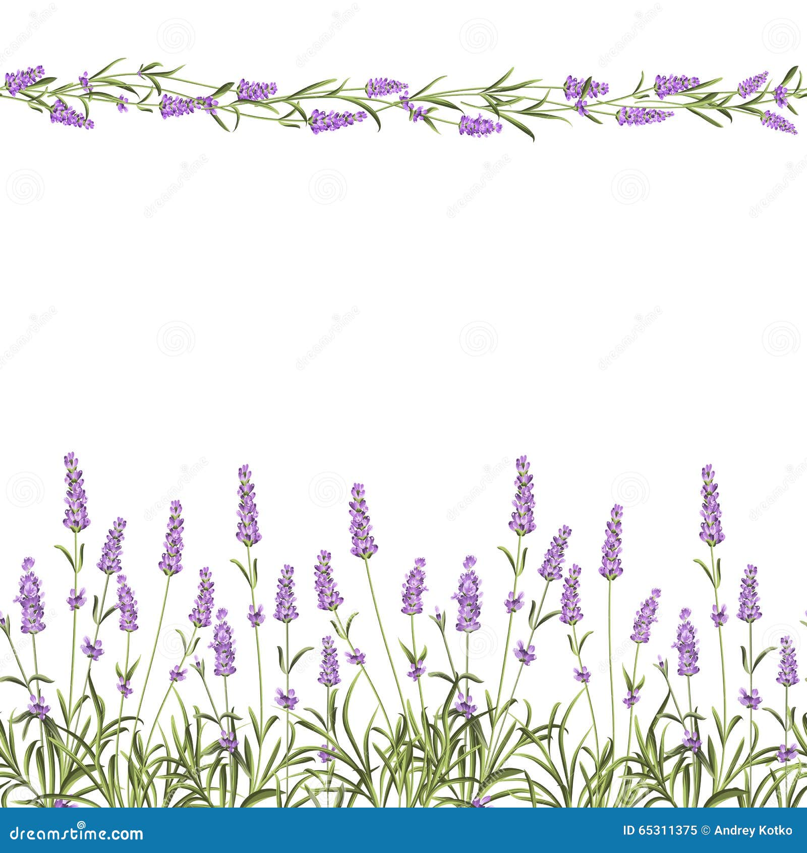 The Lavender Seamless Frame Line Stock Vector - Illustration of element ...