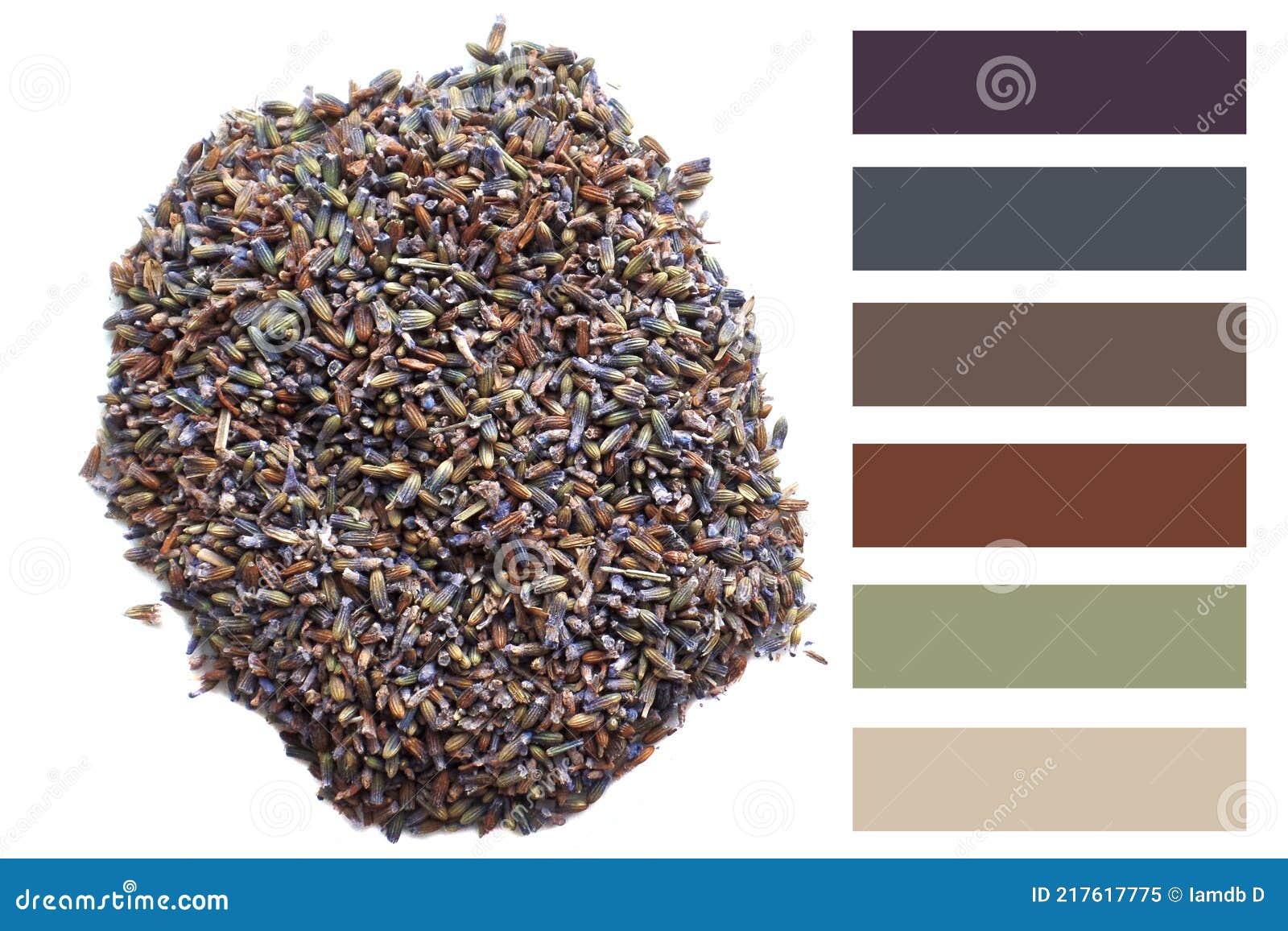 Lavender Seed Color Palette Stock Image - Image of pattern, brown ...