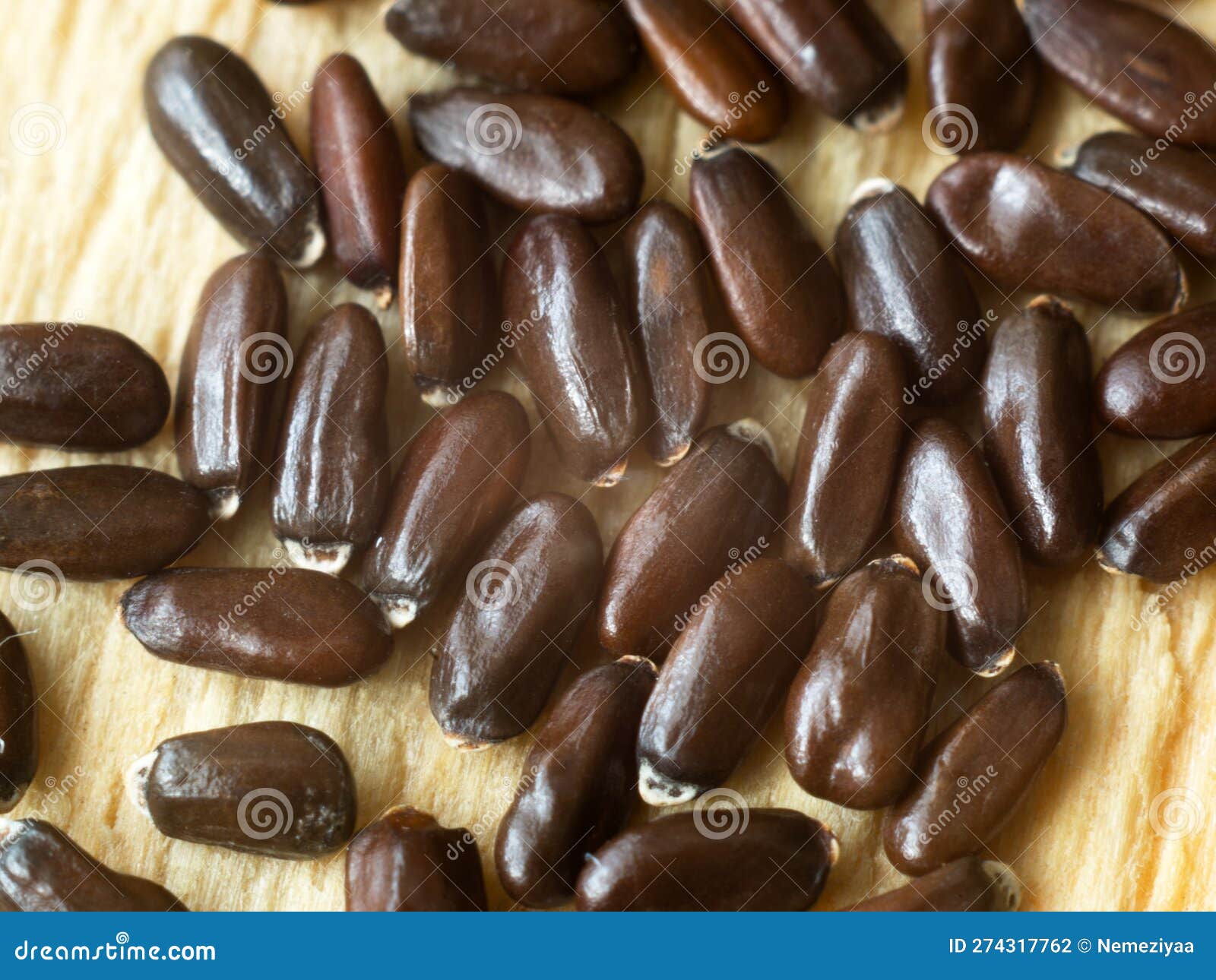 Lavender seeds closeup stock photo. Image of organic - 274317762