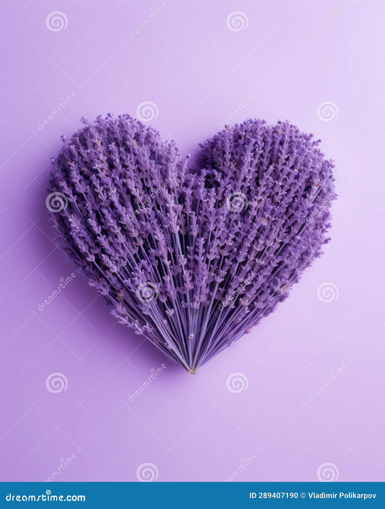Lavender in the Shape of a Heart on a Plain Background Stock ...