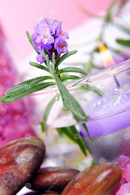Lavender SPA stock image. Image of home, leaf, luxury - 1448599