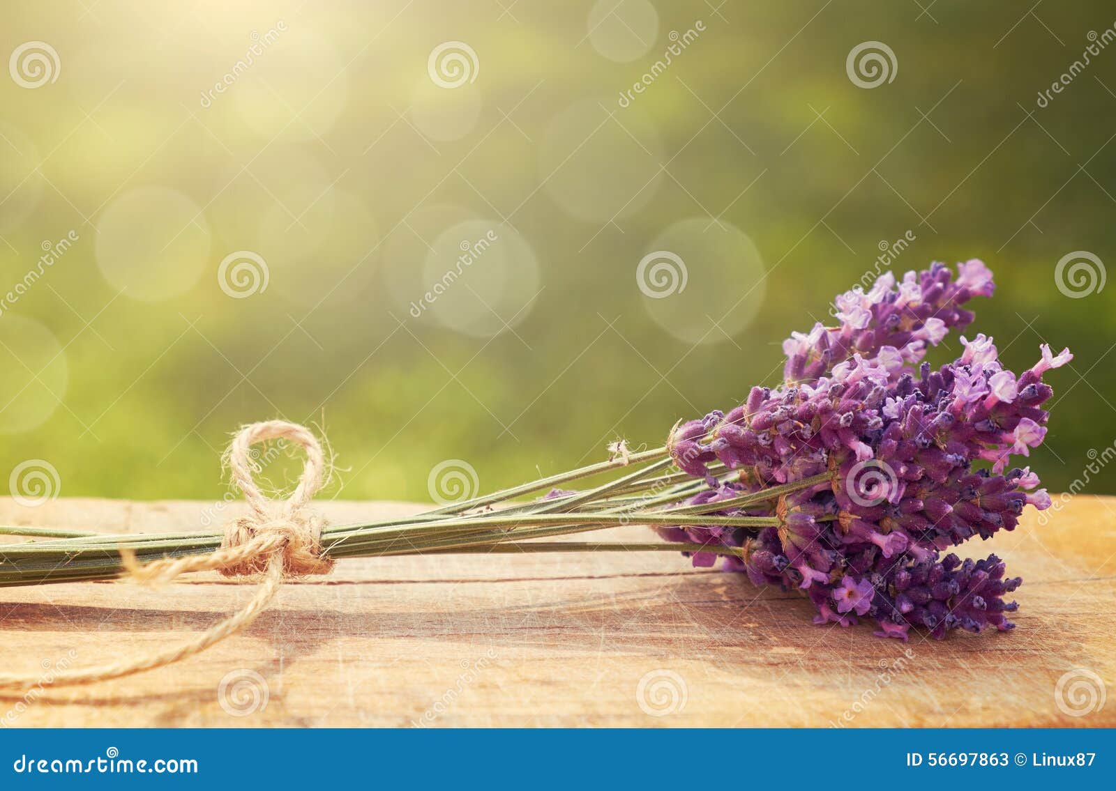 Lavender still life stock image. Image of beautiful, decoration - 56697863