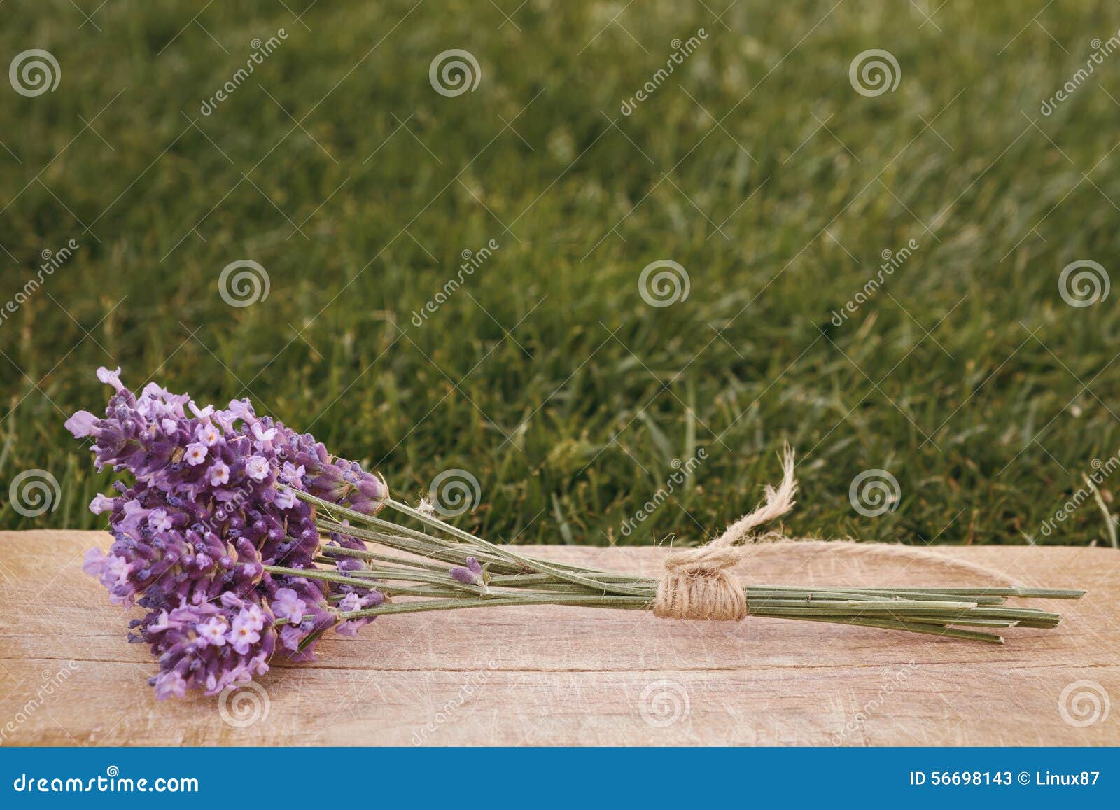 Lavender still life stock image. Image of blossom, beautiful - 56698143