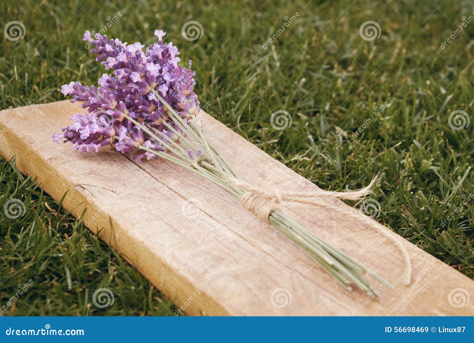 Lavender still life stock image. Image of bloom, gift - 56698469