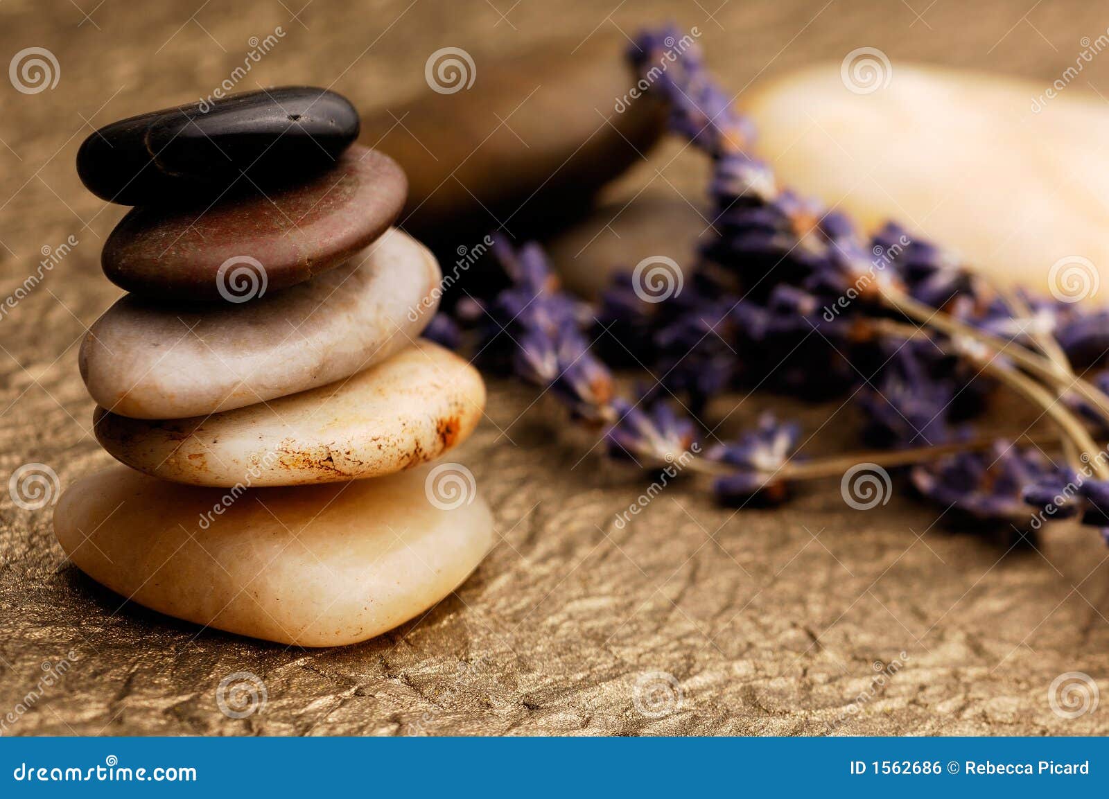 Lavender and Stones stock photo. Image of holiday, fitness - 1562686