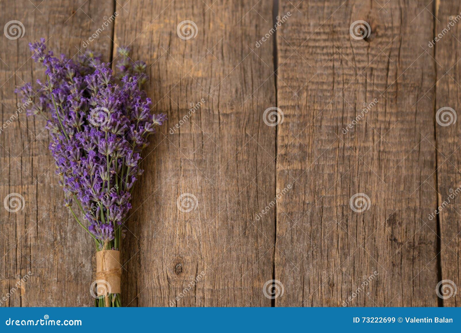 Lavender stock image. Image of provence, lavender, smell - 73222699
