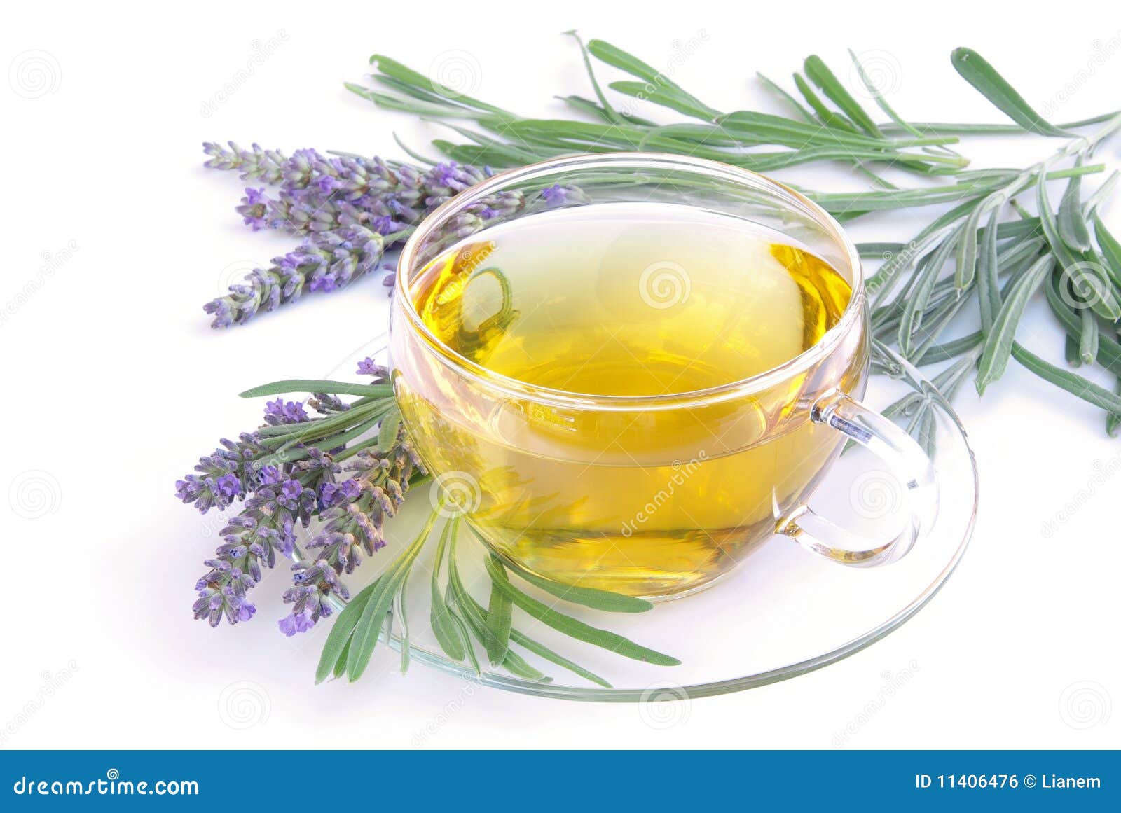 Lavender tea stock photo. Image of blooming, closeup - 11406476