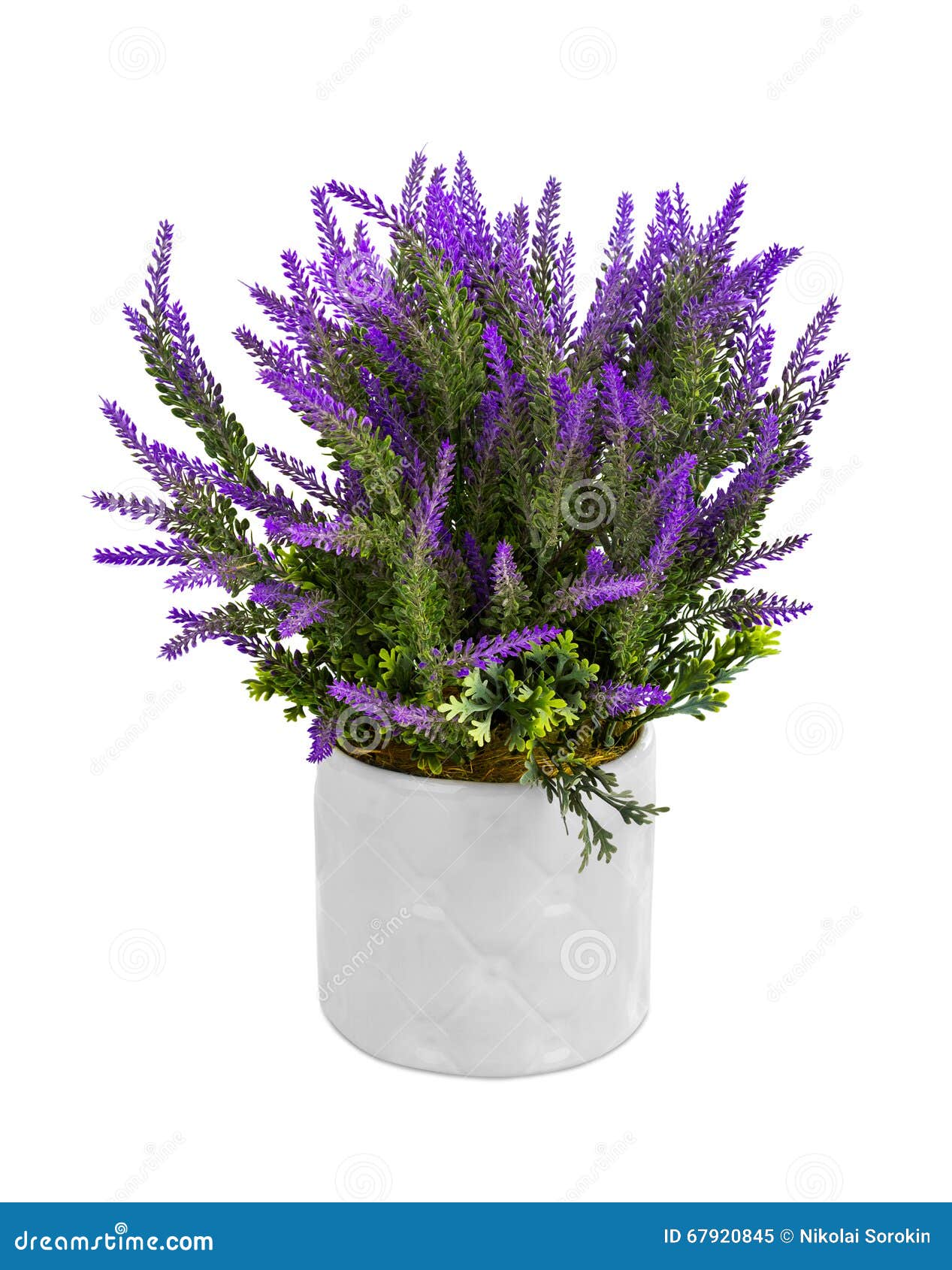 Lavender in vase stock image. Image of floral, fragrant - 67920845