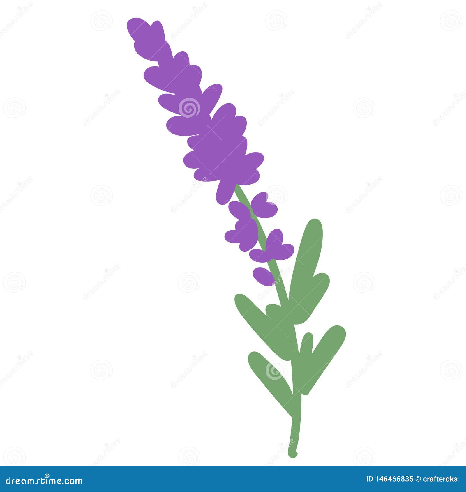 Lavender Vector Drawing Frame. Isolated Wild Flower And Leaves. Herbal ...
