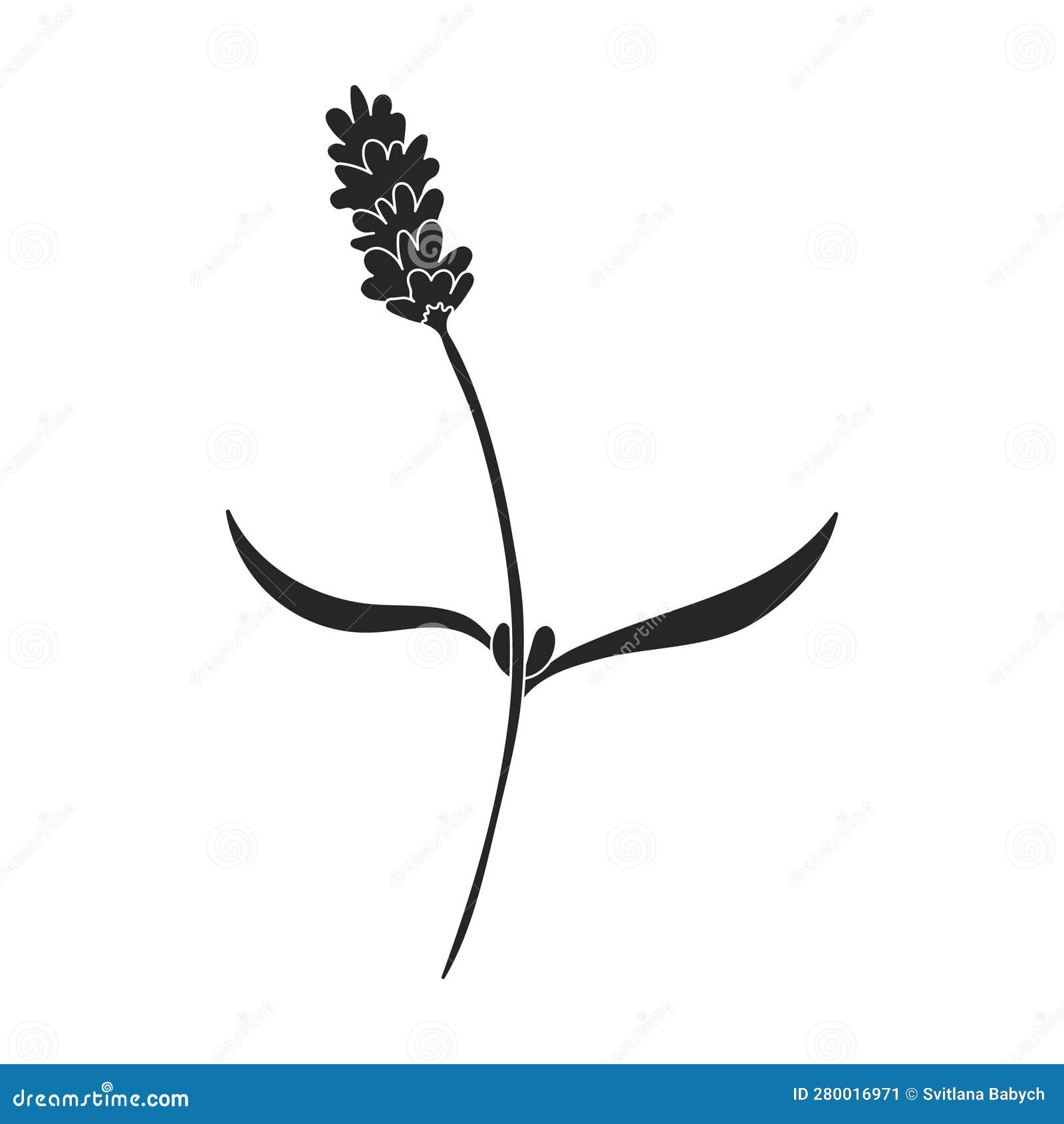 Lavender Vector Icon.Black Vector Icon Isolated on White Background ...