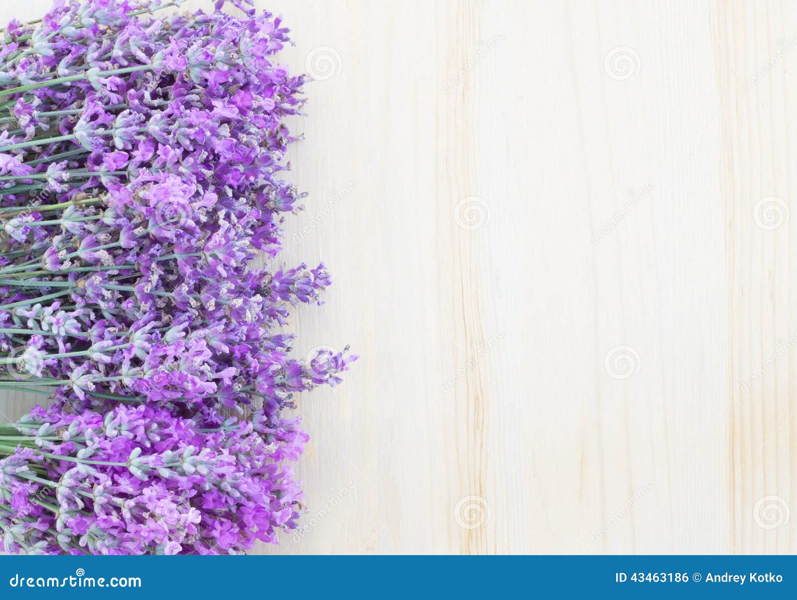 Lavender on a wooden desk. stock photo. Image of essential - 43463186