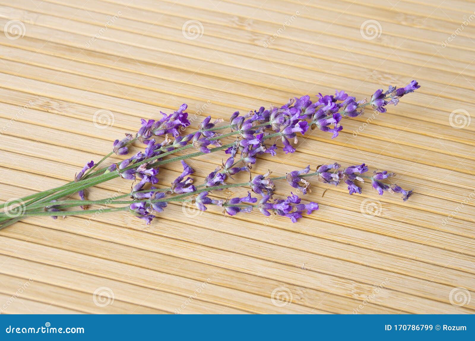 Lavender on wooden texture stock image. Image of bloom - 170786799