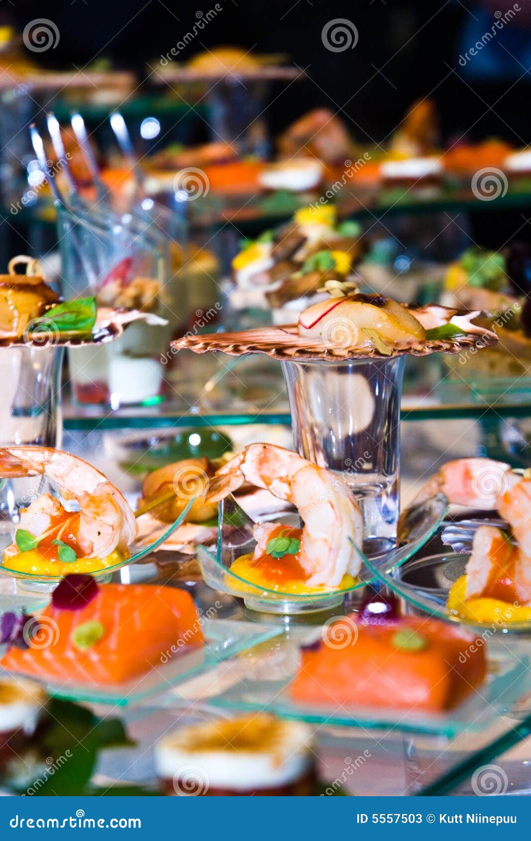 Lavish Food Display stock image. Image of salmon, fish - 5557503