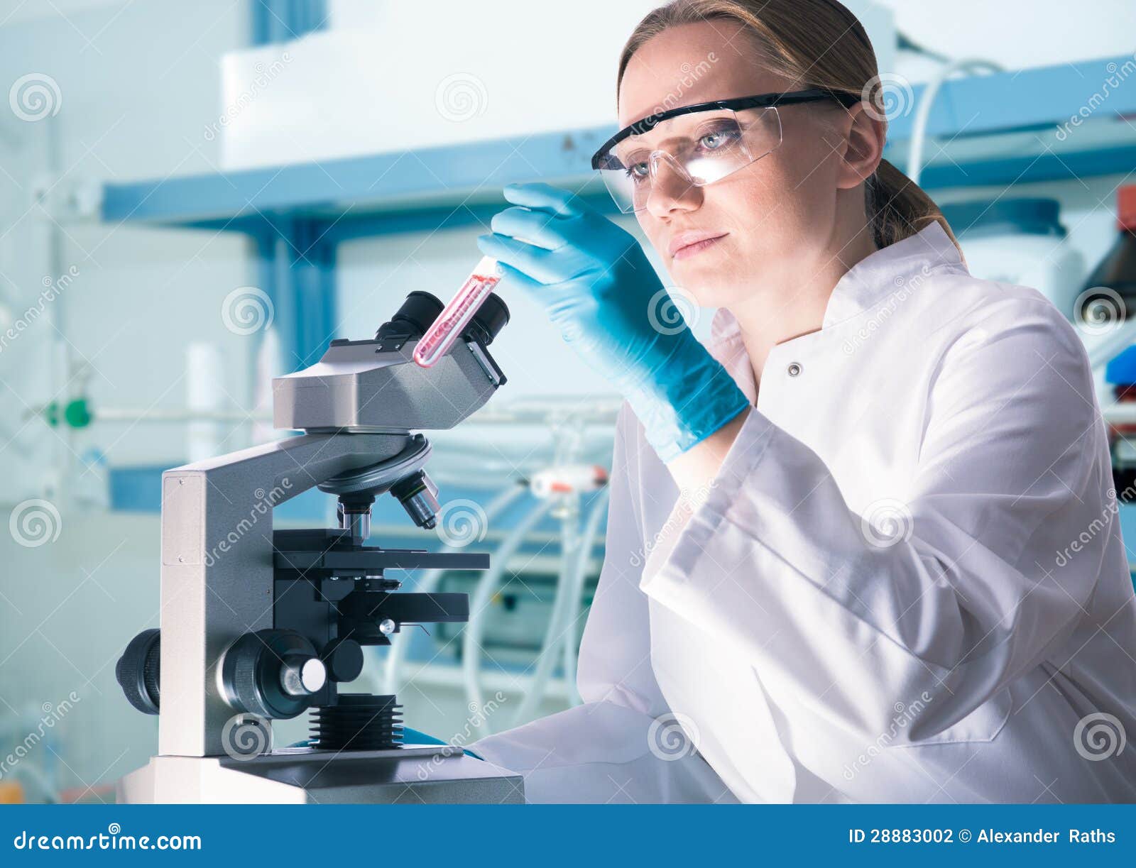 Lavorando al laboratorio fotografia stock. Immagine di laboratorio ...