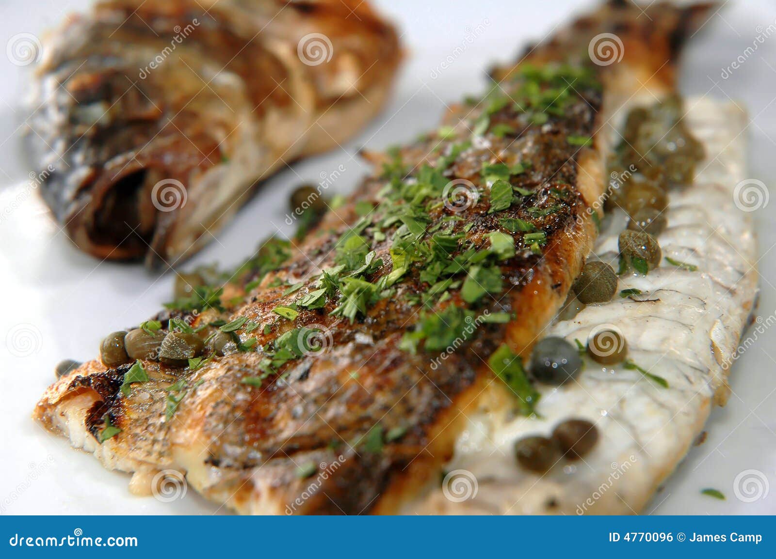 Lavraki filet stock photo. Image of grilled, capers, head - 4770096