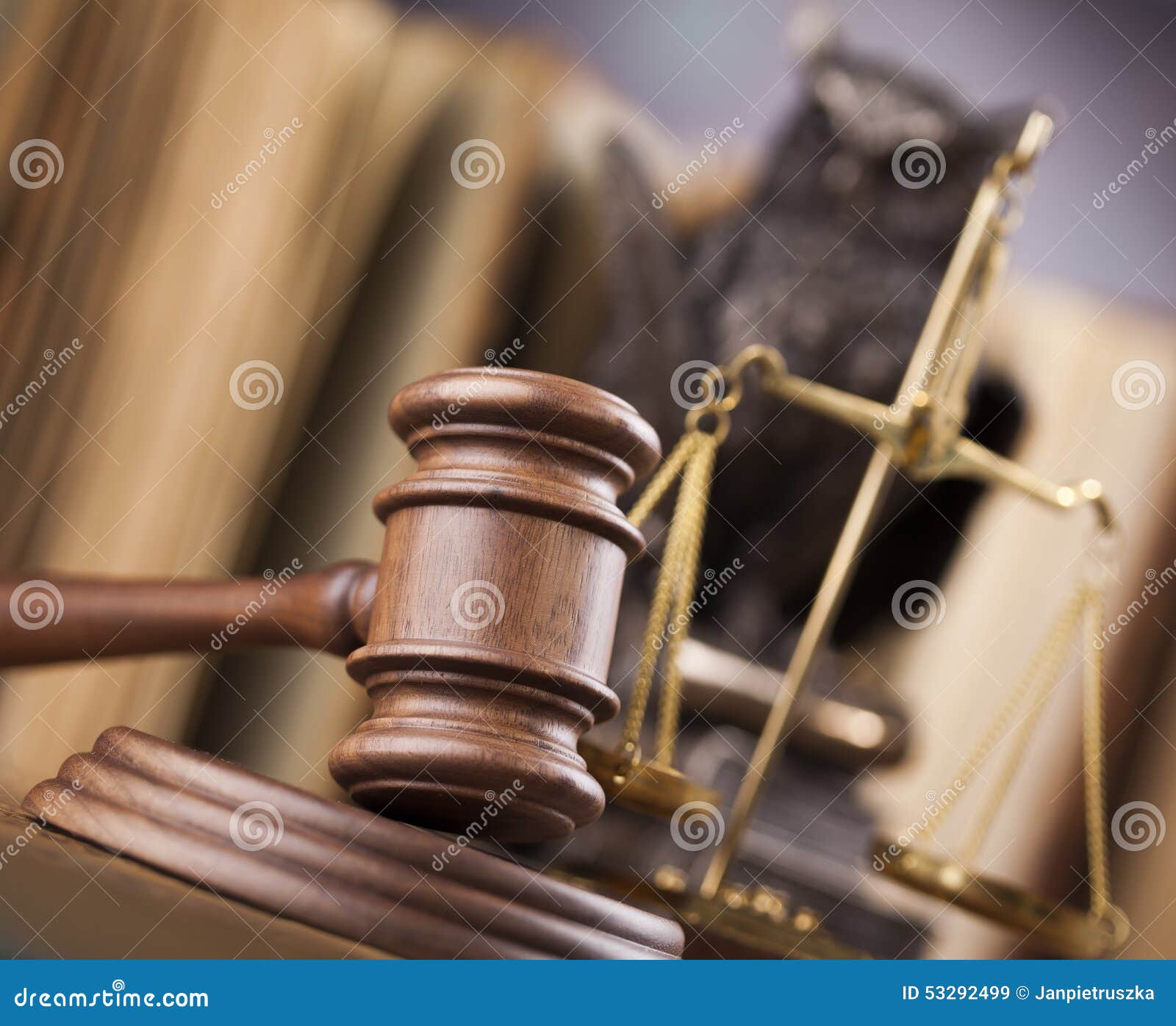 Law Concept, Owl in a Judge Gavel Concept Stock Image - Image of ...