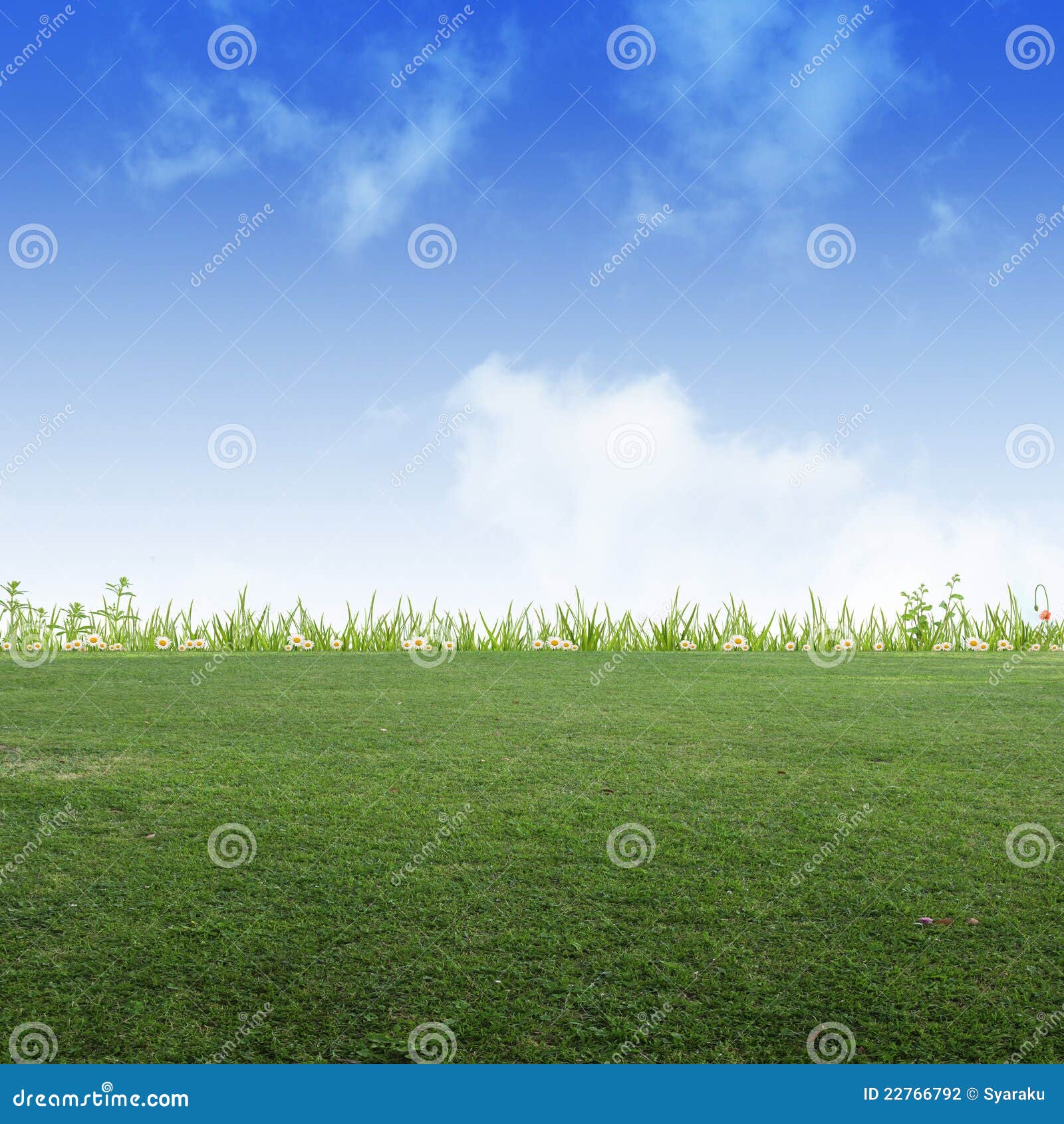 Lawn background stock photo. Image of abstract, meadow - 22766792
