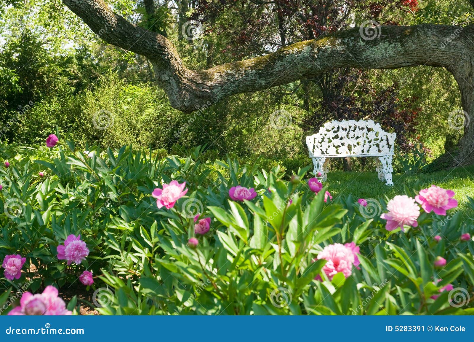 Lawn chair near flower bed stock image. Image of country - 5283391