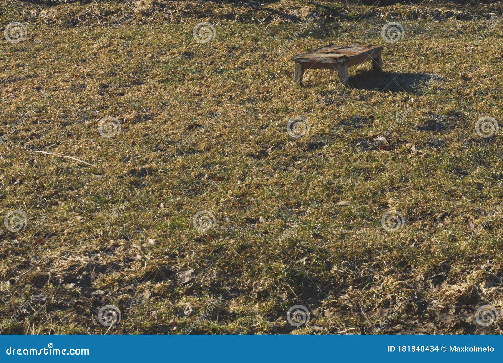 Lawn in the Courtyard. Nature Background with Grass Stock Photo - Image ...
