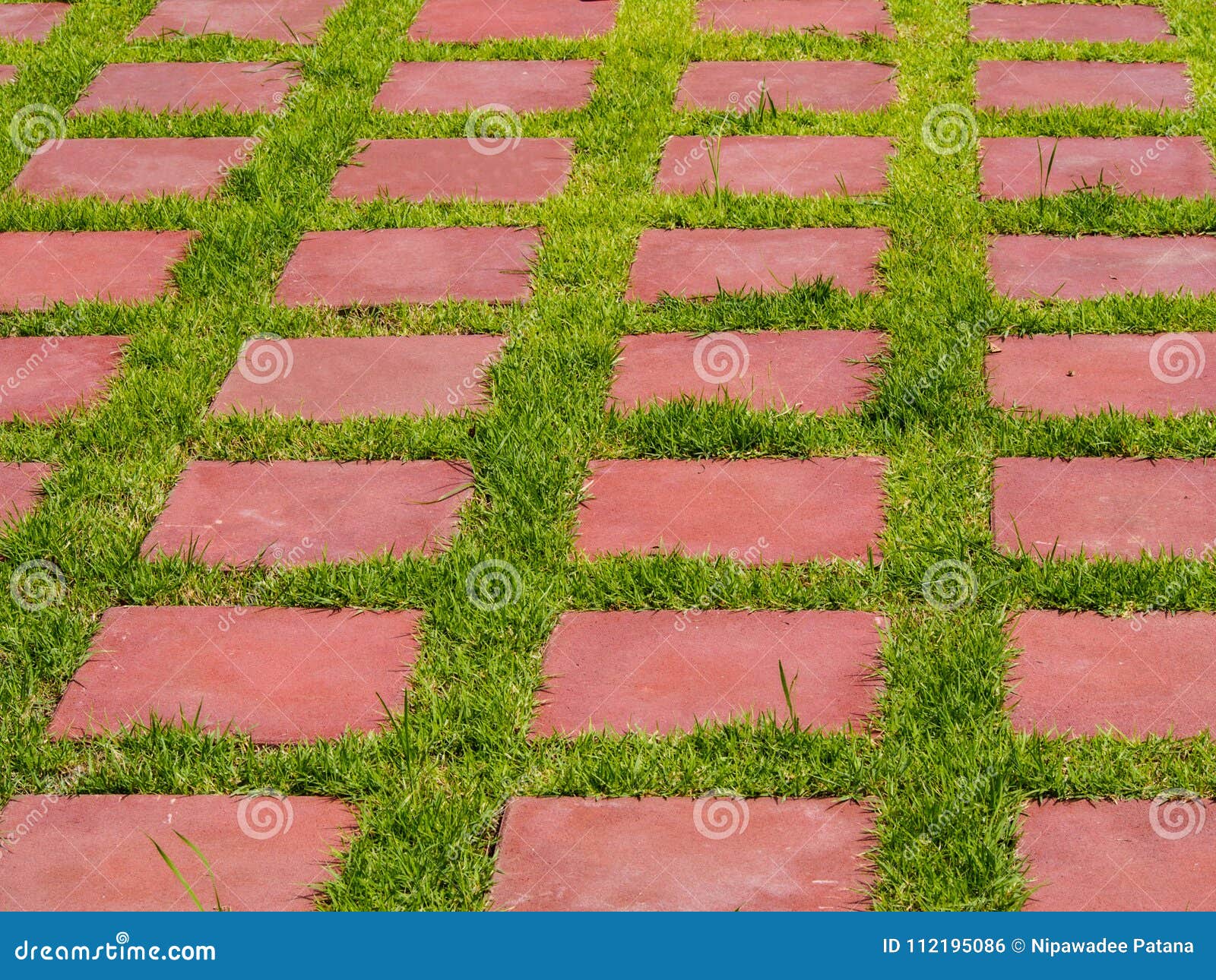 The Lawn are Covered with Brick Slabs. Stock Photo - Image of garden ...