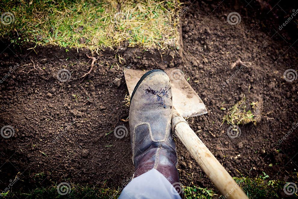 Lawn digging stock image. Image of person, turf, garden - 70037551