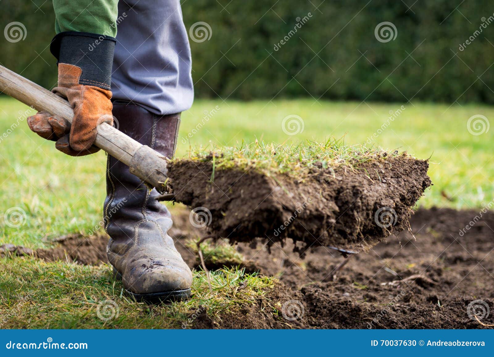 Lawn digging stock photo. Image of digging, lawn, soil - 70037630