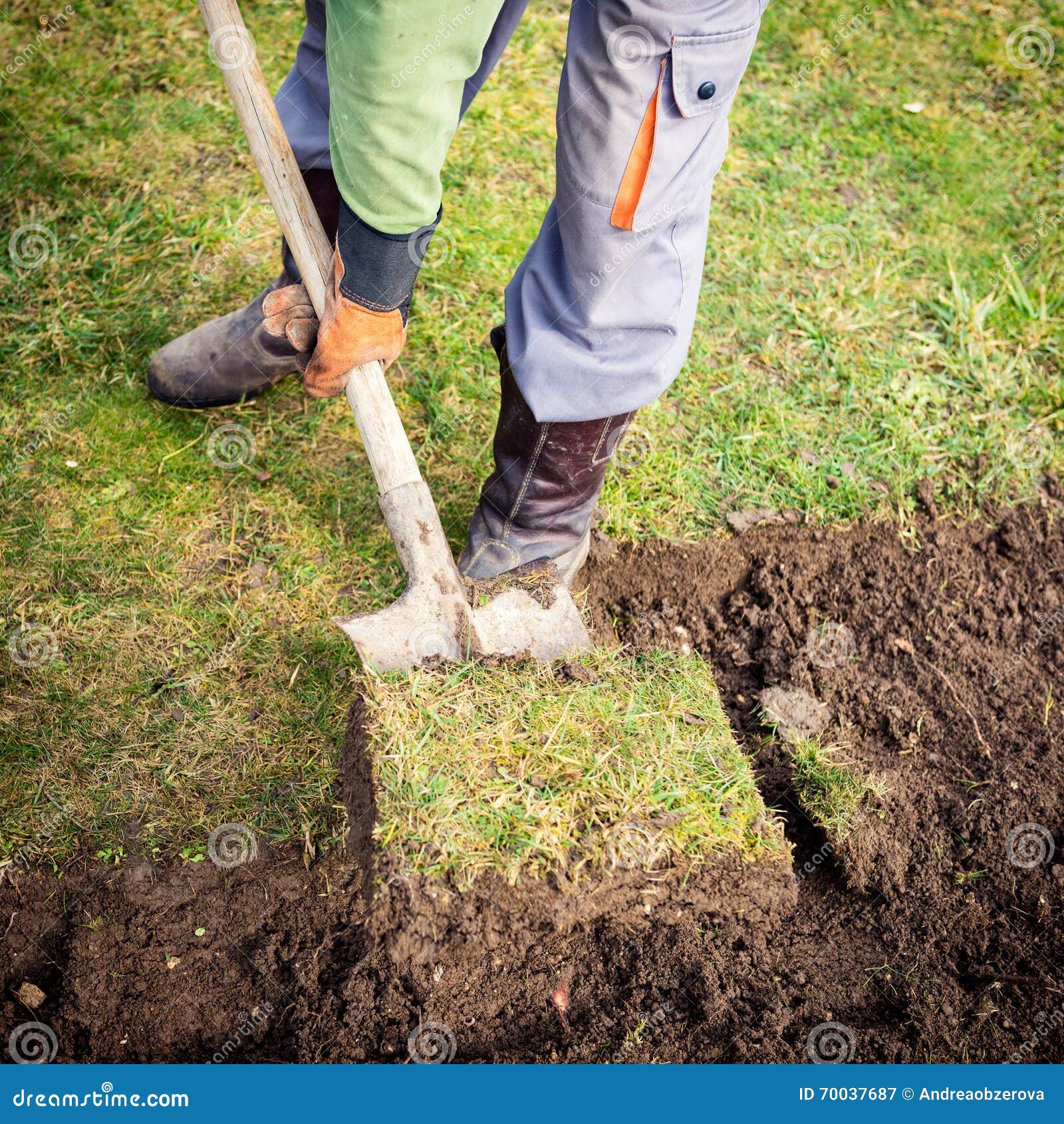 Lawn digging stock image. Image of preparation, green - 70037687