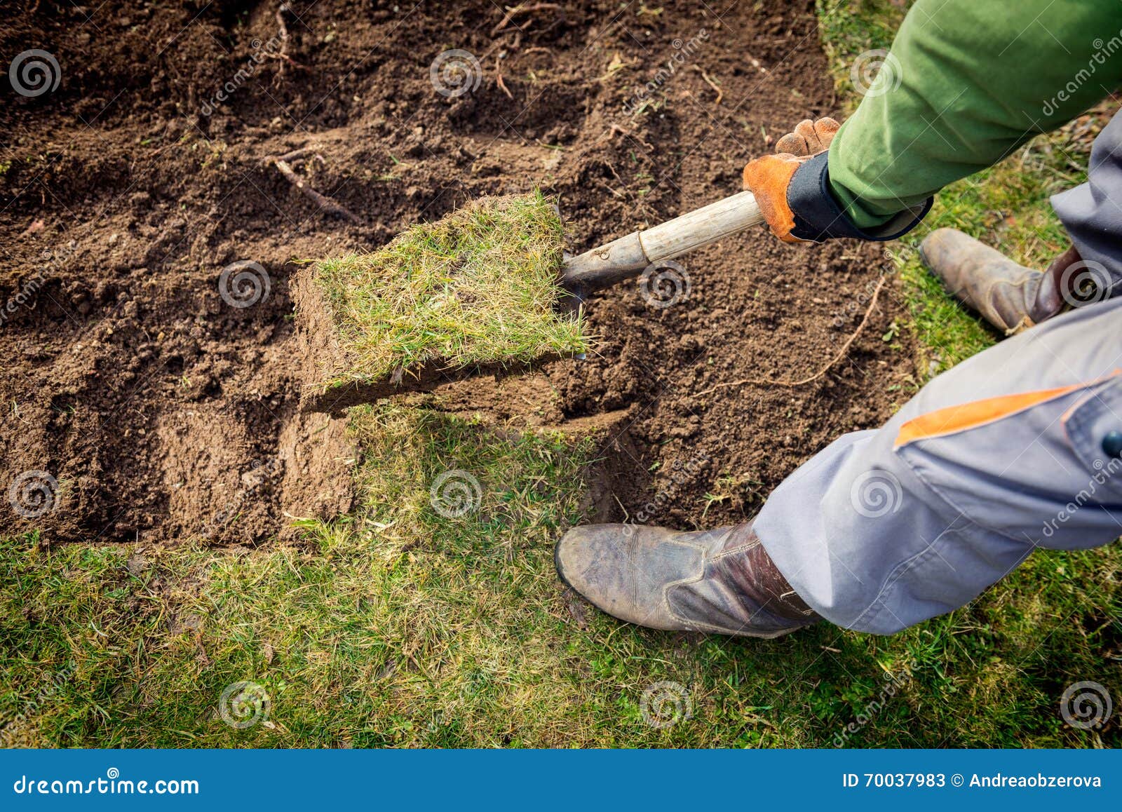Lawn digging stock image. Image of person, tool, plot - 70037983