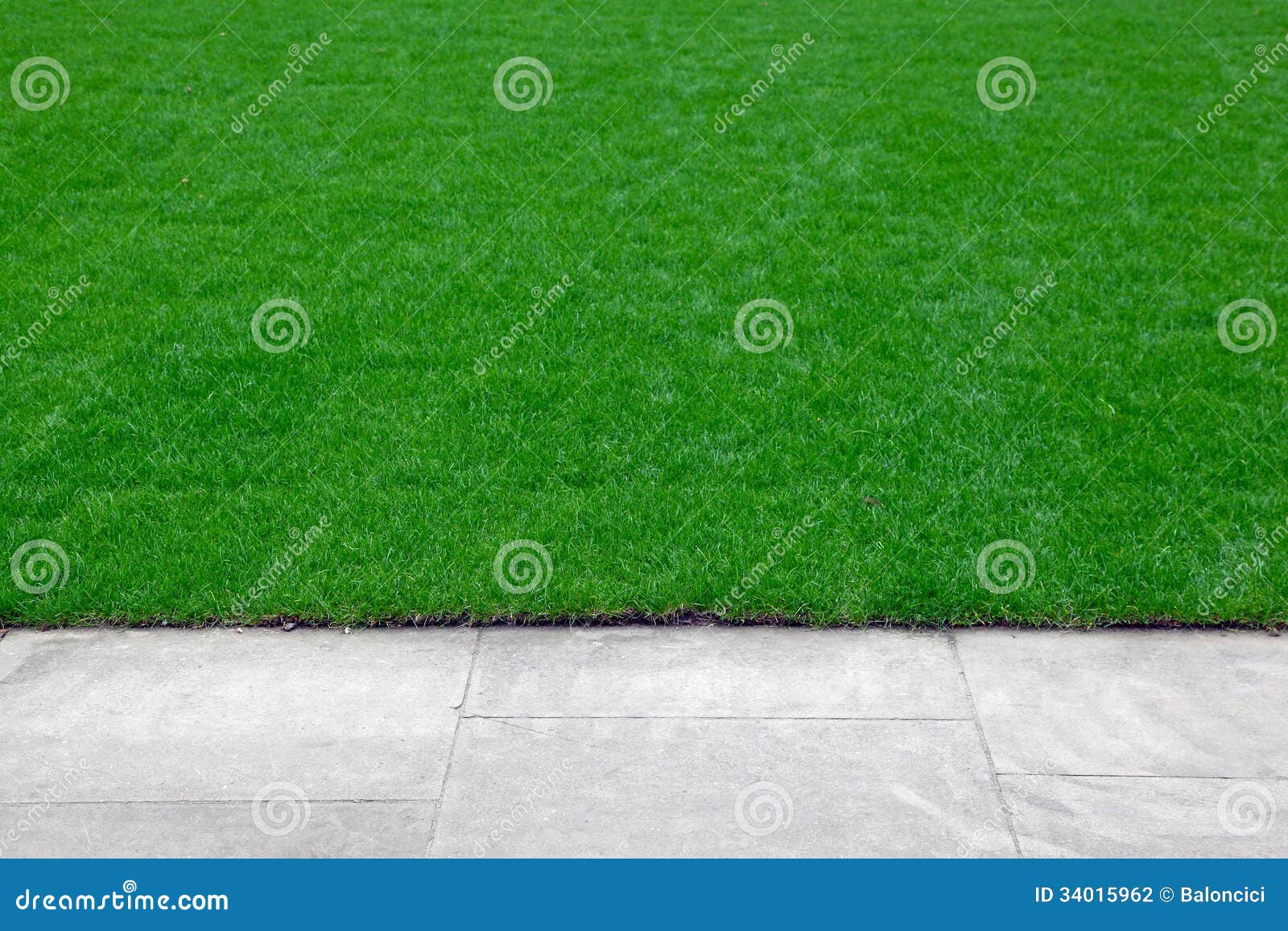 Lawn edge stock photo. Image of field, area, lawn, edge - 34015962