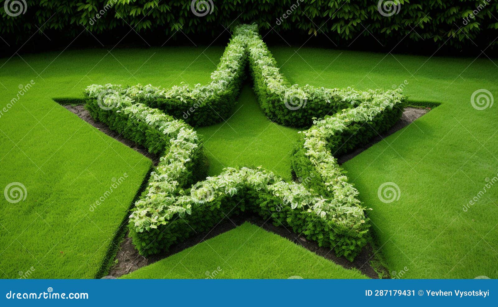 Lawn in the Form of a Star an Image of a Lawn Neatly T_007 Stock ...
