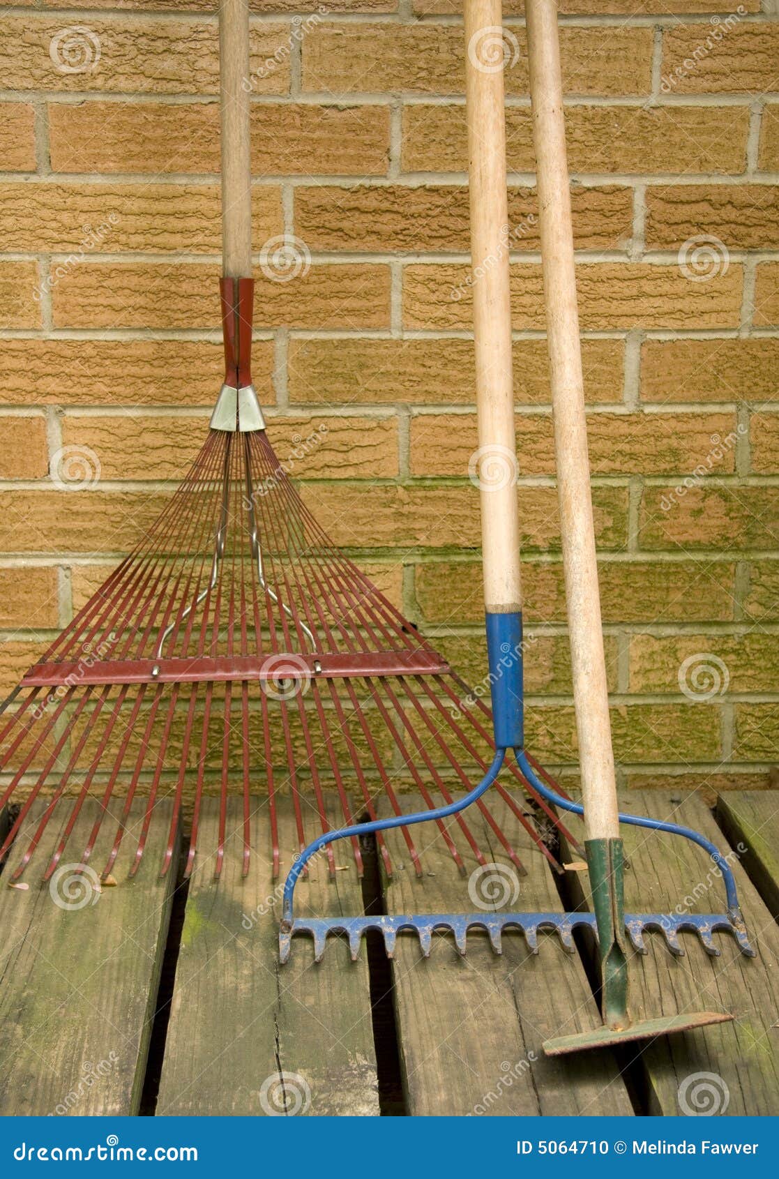 Lawn and Garden Tools stock photo. Image of landscaping - 5064710
