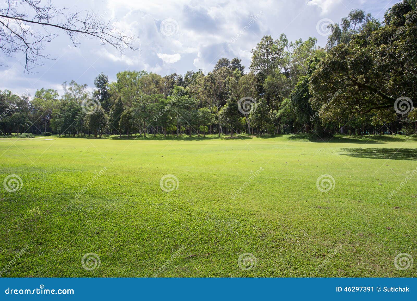 Lawn of Golf Course, Green Grass Field Stock Image - Image of game ...