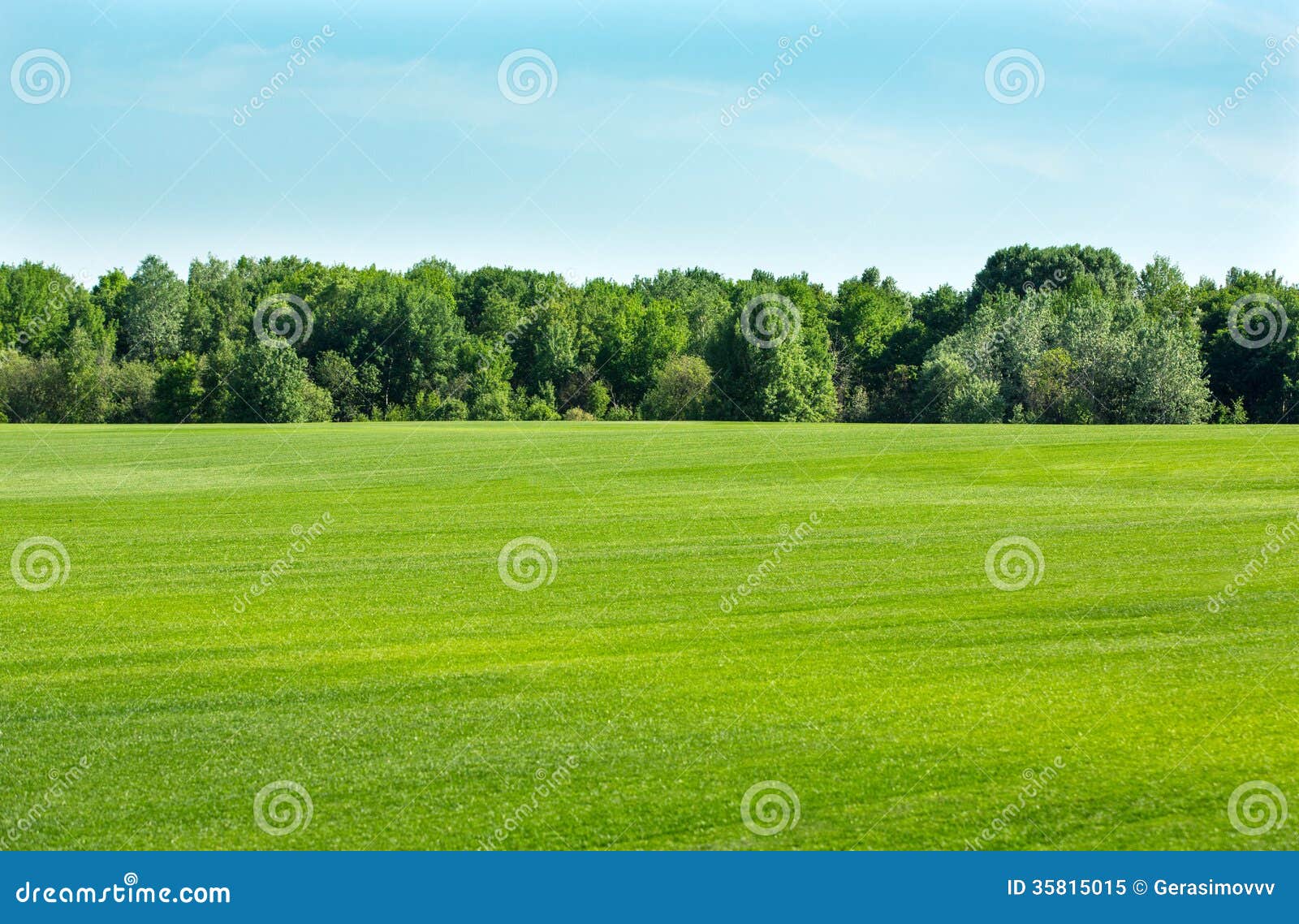 Lawn gras field stock image. Image of idyllic, lawn, light - 35815015