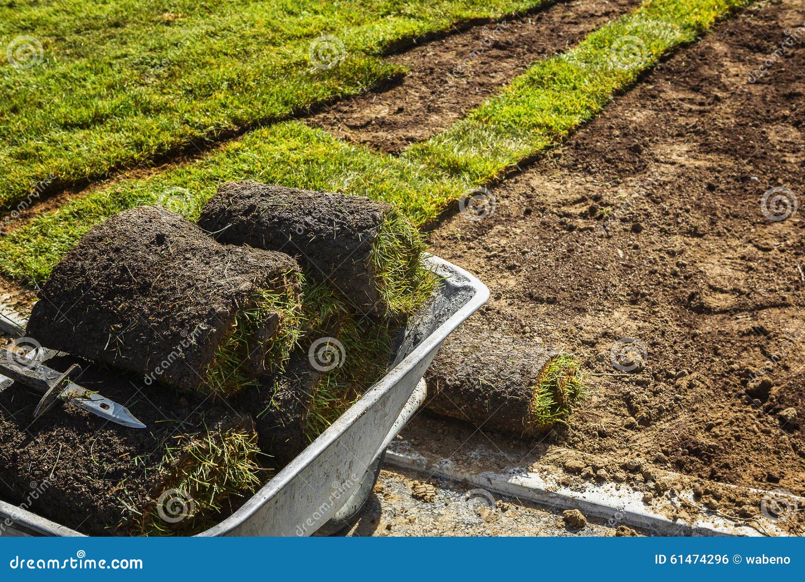 Lawn, Grass-plot in the Rolls Stock Photo - Image of abstract, park ...