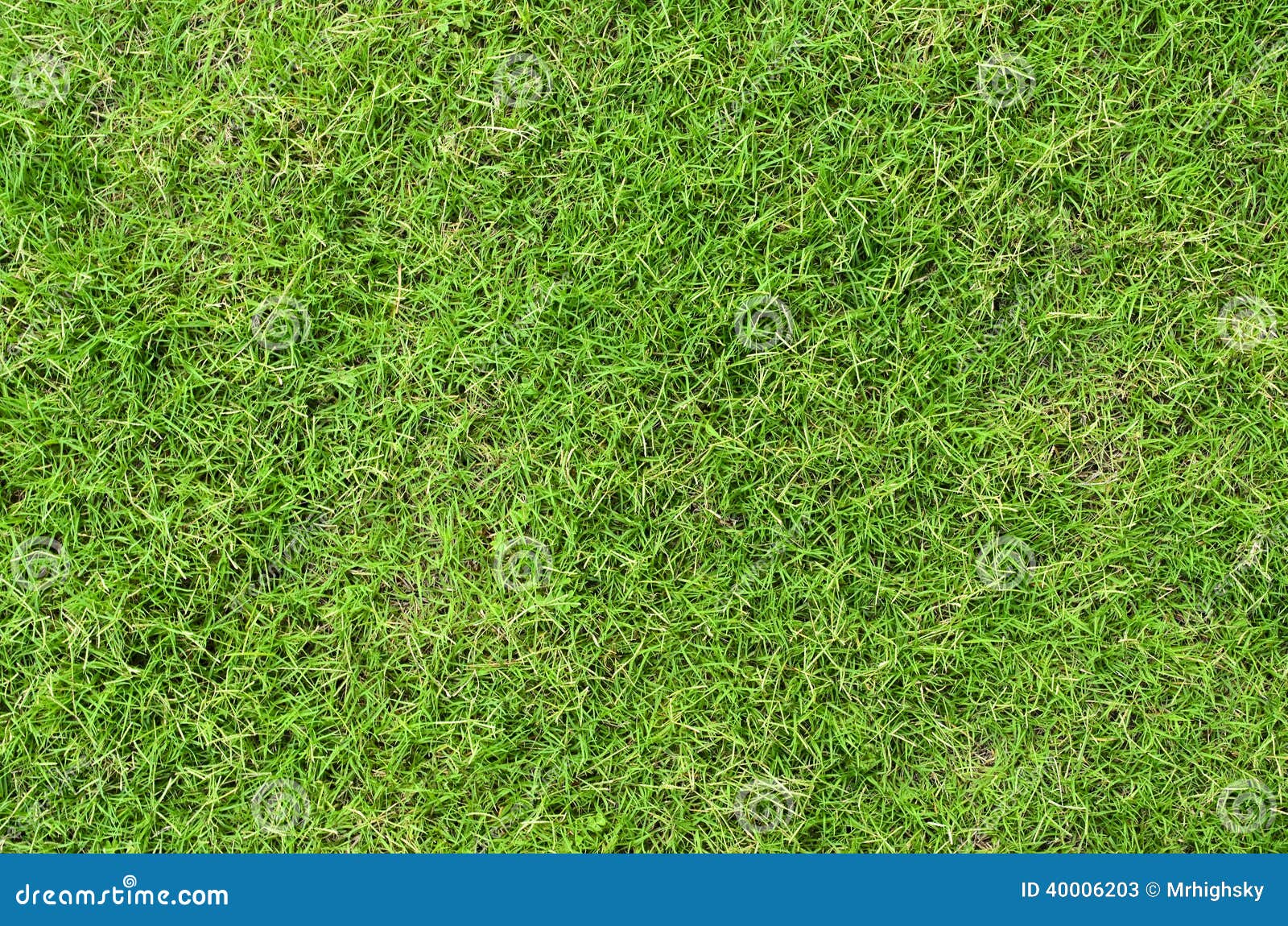 Lawn Grass Texture stock image. Image of texture, backdrop - 40006203