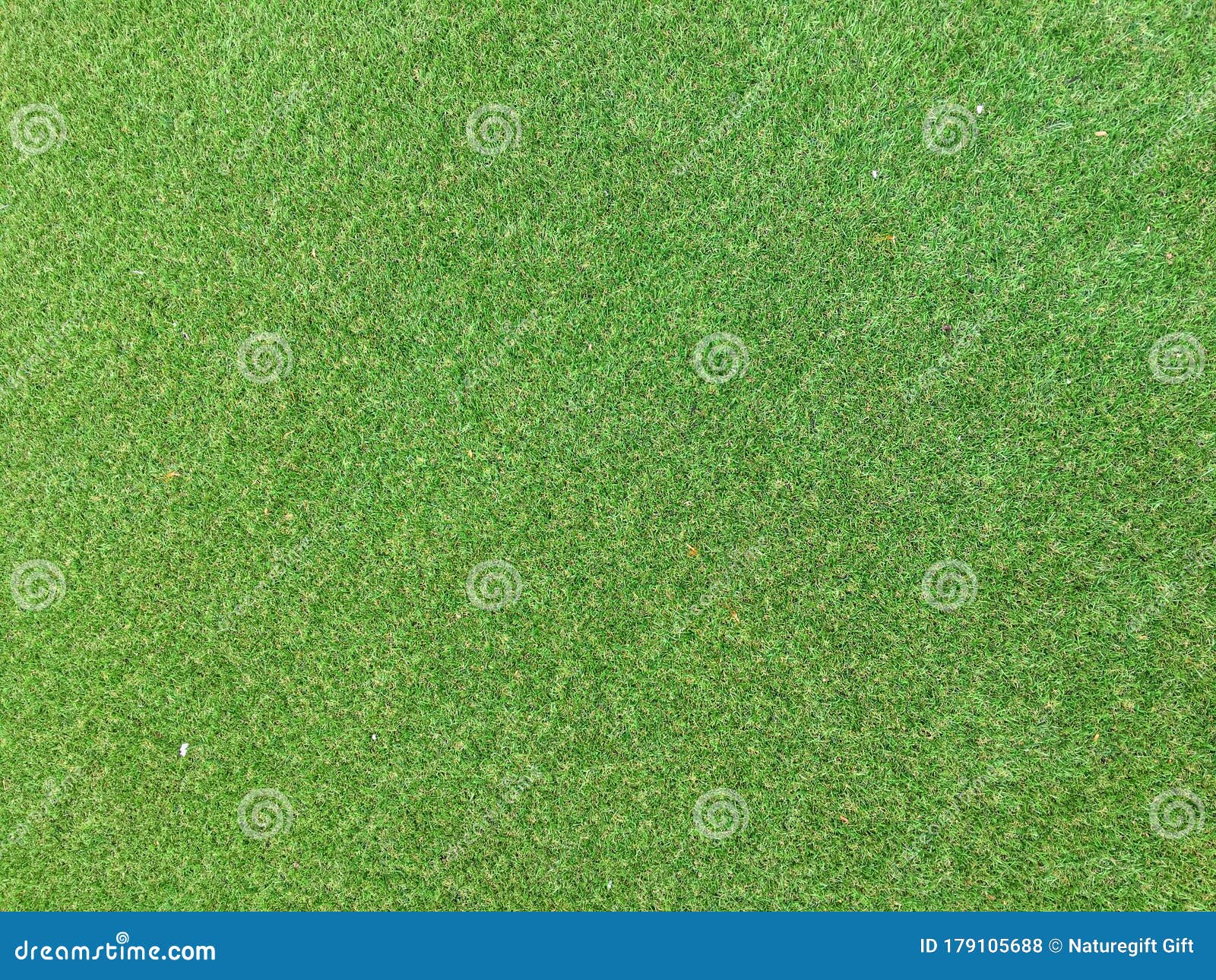 Lawn Has a Green Ground a Little Grass Up Stock Photo - Image of ...