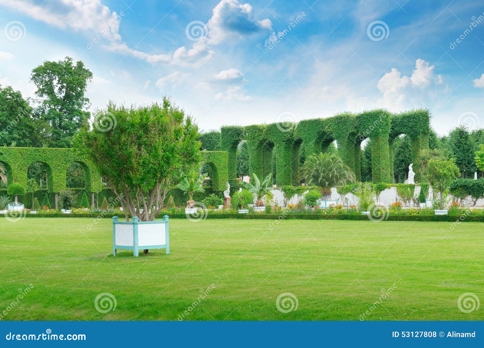 Lawn and hedge in a park stock photo. Image of beautiful - 53127808