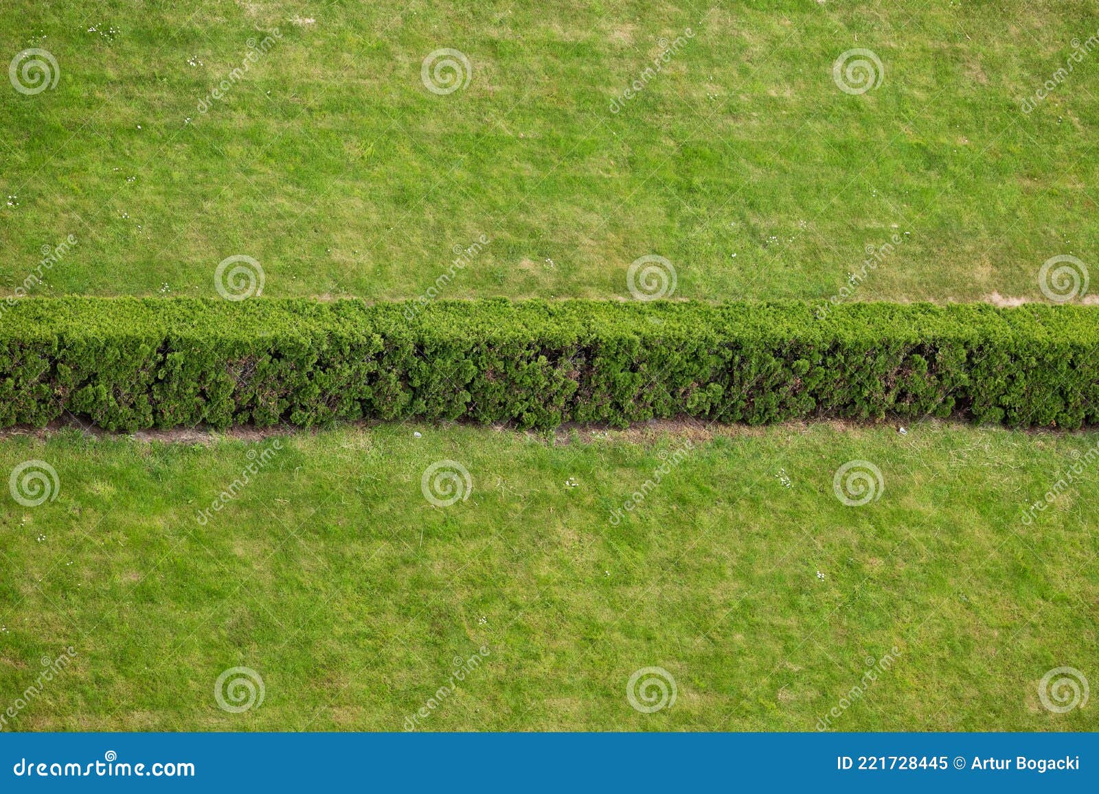 Lawn and Hedgerow Green Background Stock Image - Image of line, fresh ...